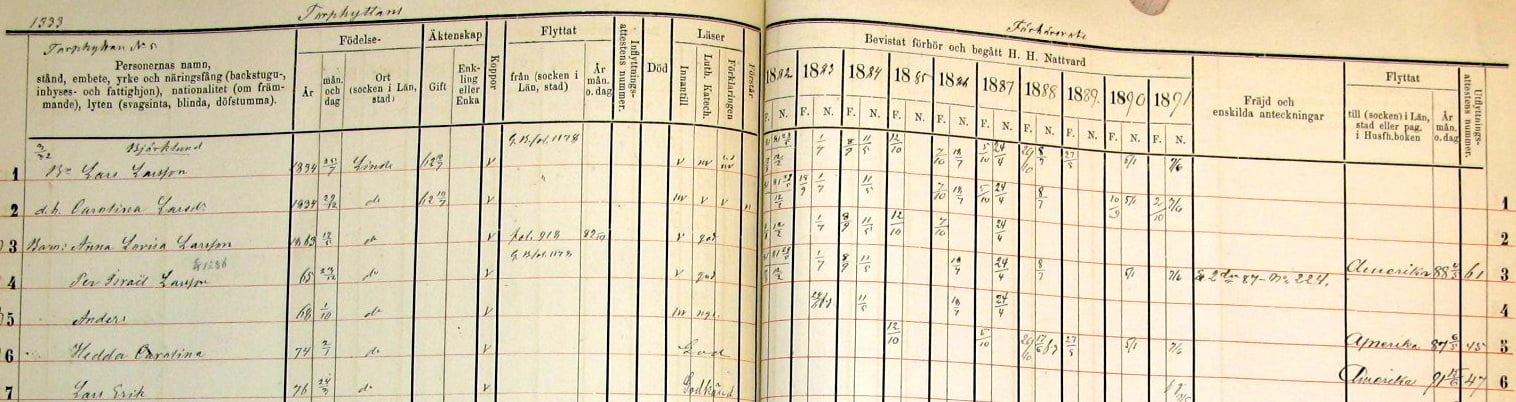 Anna Larsdotter Hann's Swedish Portrait | Sassy Jane Genealogy