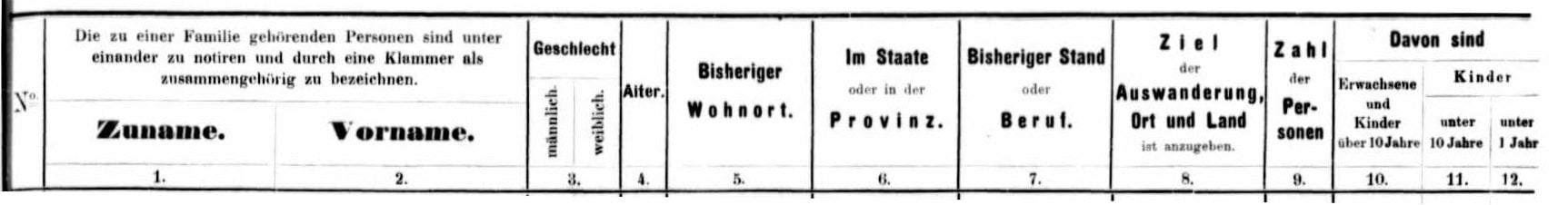 Translating Hamburg Passenger List Categories | Sassy Jane